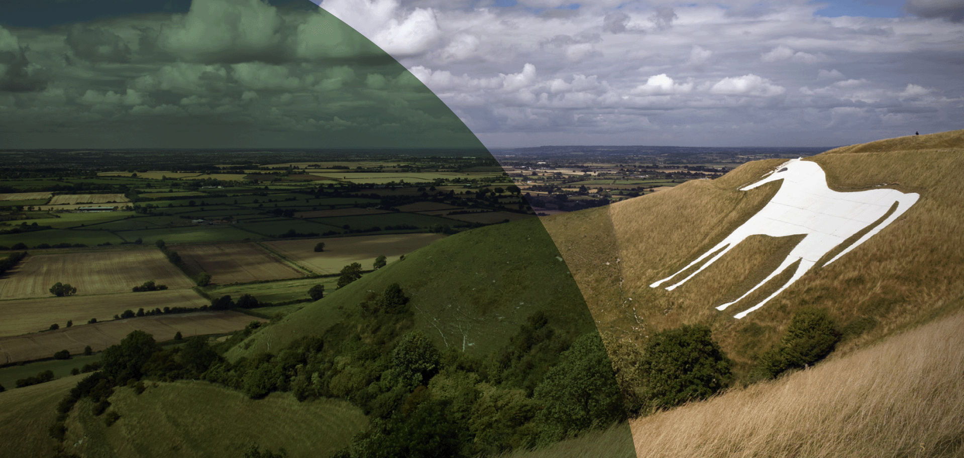 The Prosperity Institute launches fellowship programme - Prosperity ...